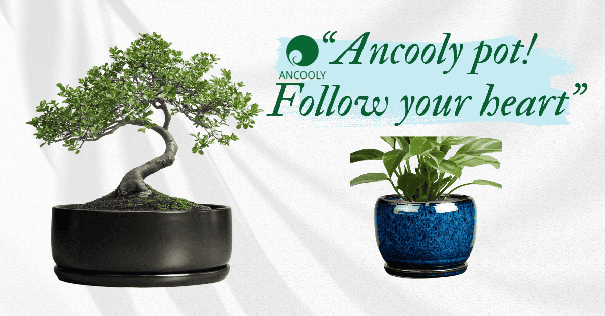 Retro Rural Style – Ancooly Shop